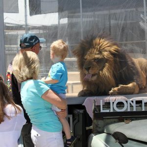 Home - The Lion Habitat Ranch