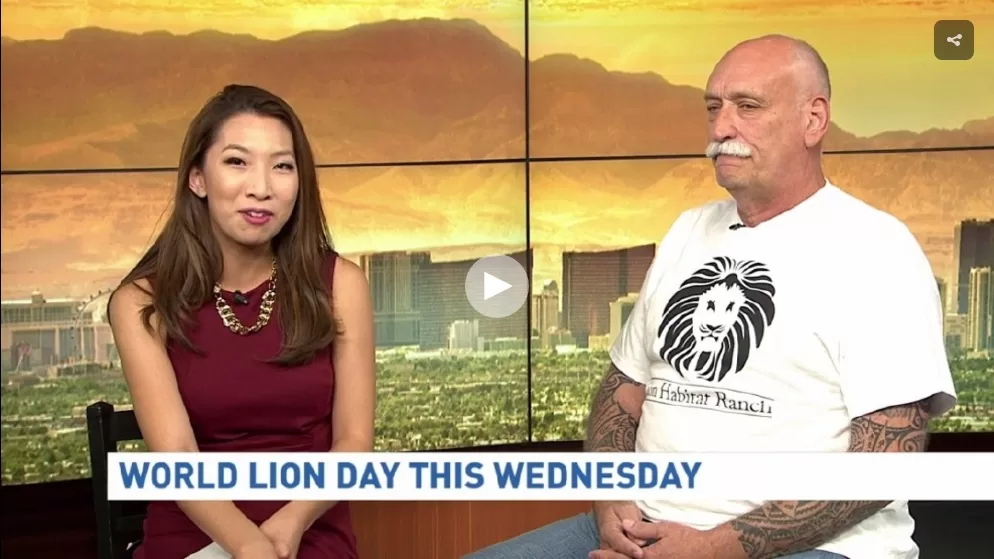 Keith Evans Talking World Lion Day - The Lion Habitat Ranch